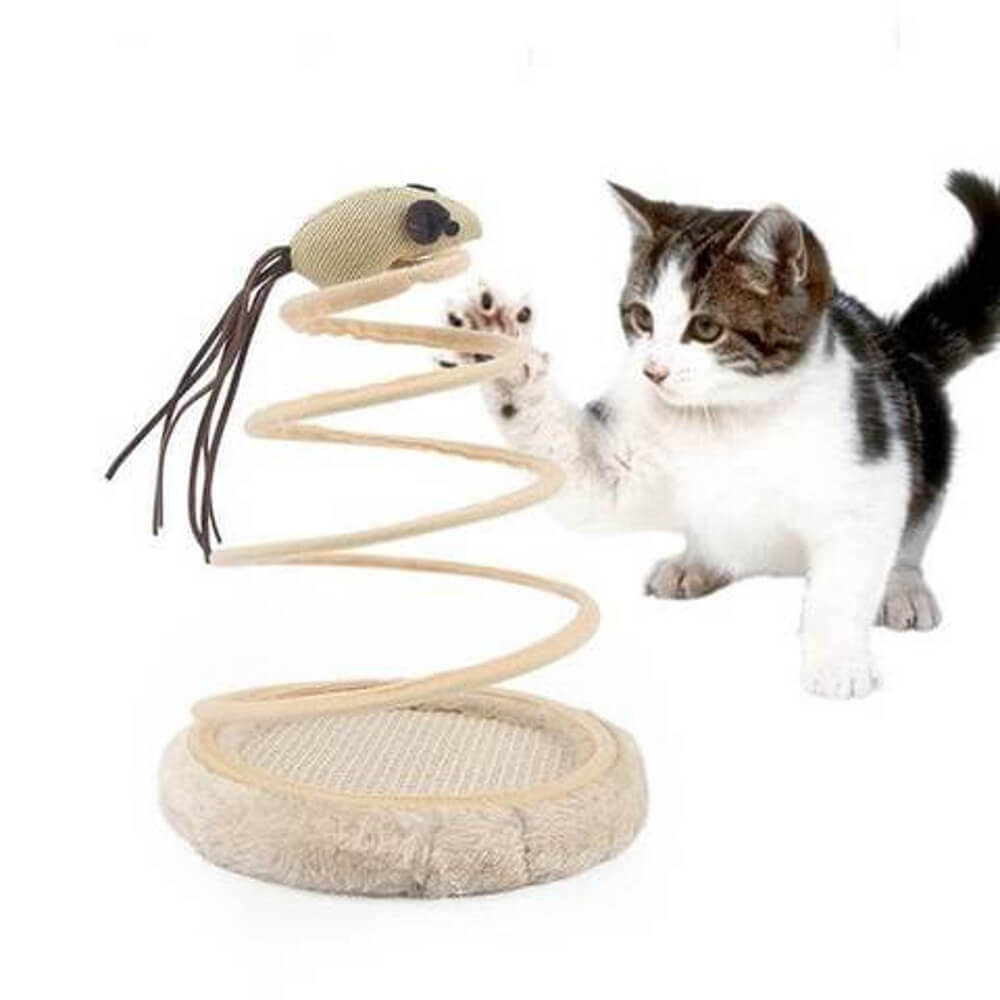 Cat Toy Spring Rat Toy - Petco BD