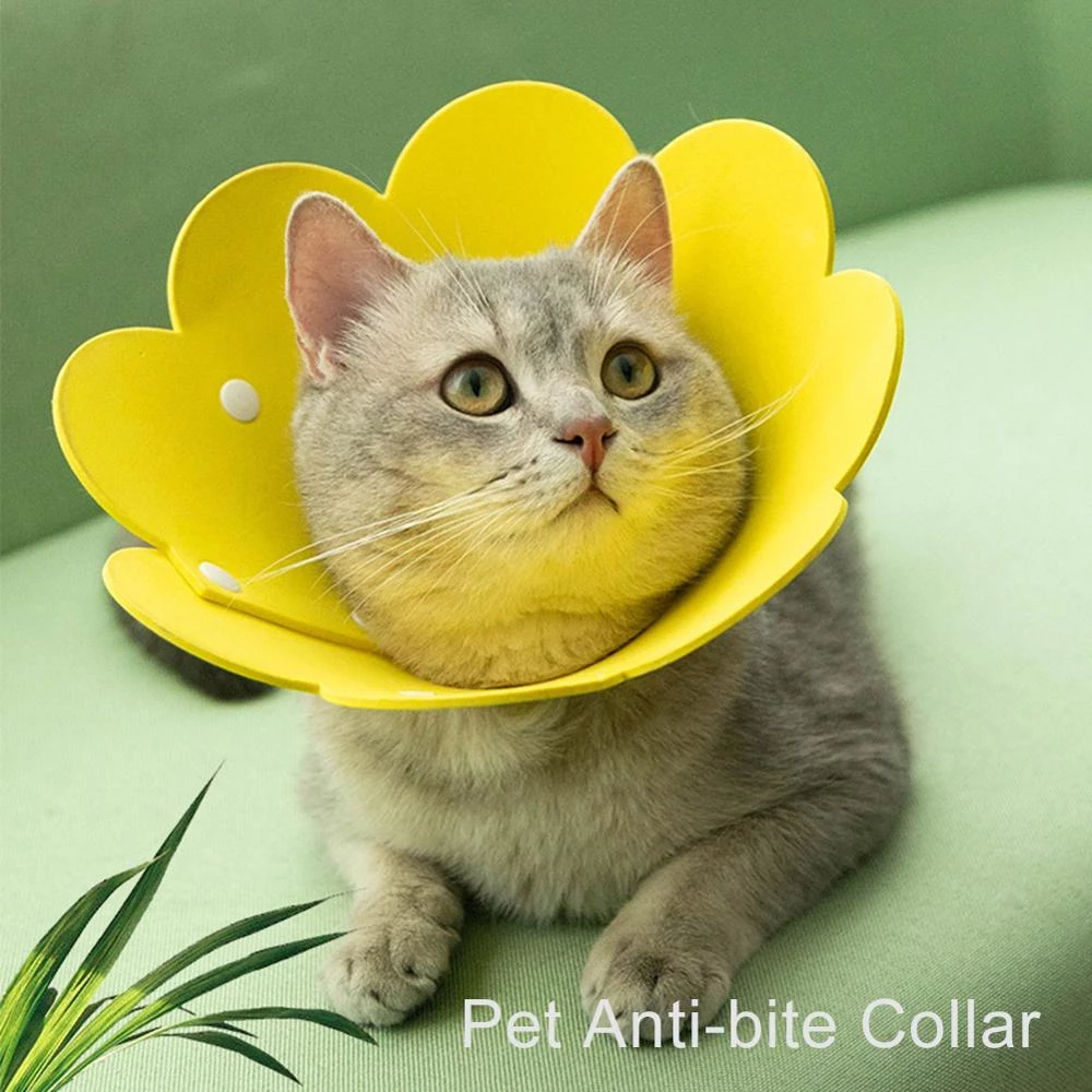 Cat Elizabeth Sun Flower Collar Size=S,M,L - Petco BD