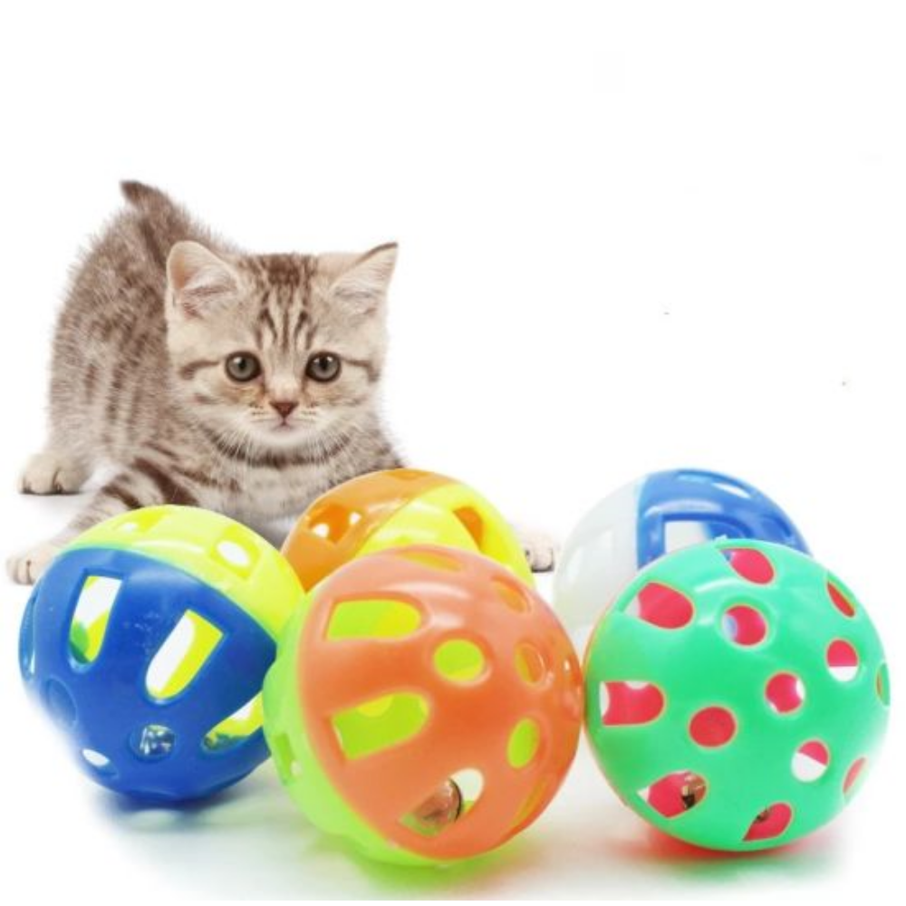 Cat Ball Toy - Petco BD