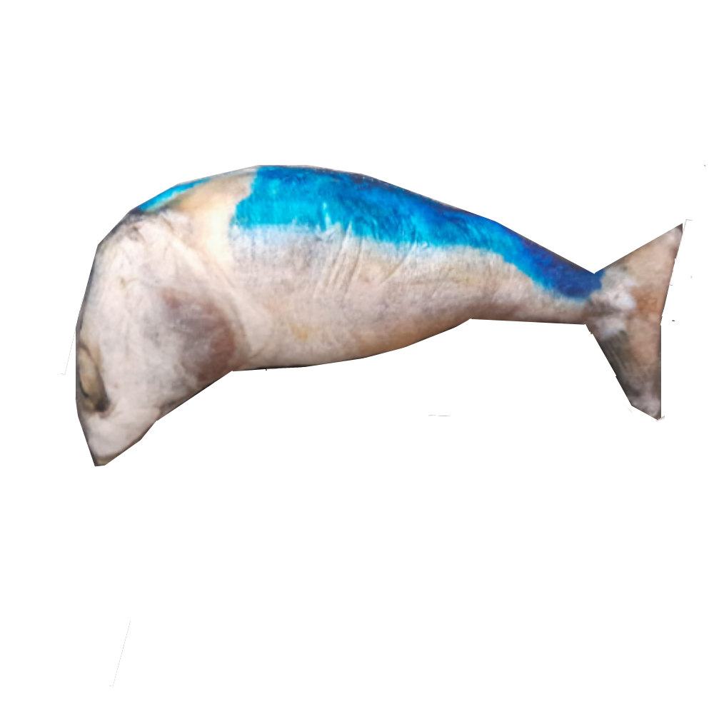 Cat toy Catnip Fish - Petco BD