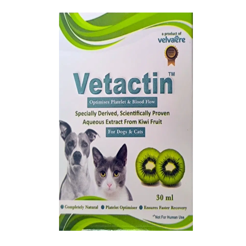 Vetactin Optimies Platelet & Blood Flow For Cats & Dogs 30ml - Petco BD