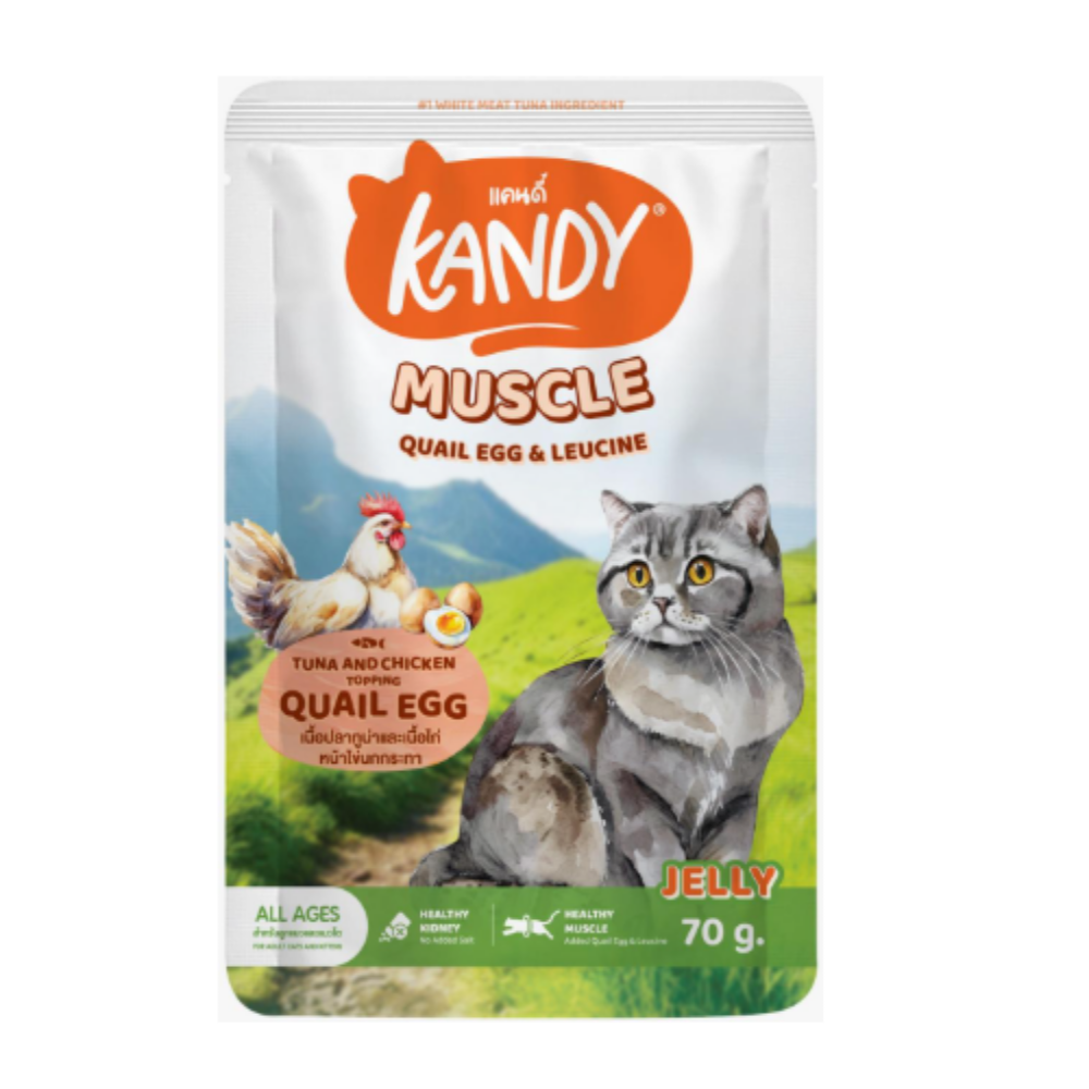 Kandy Adult Cat Pouch Tuna & Chicken Topping Quail Egg Jelly 70g - Petco BD
